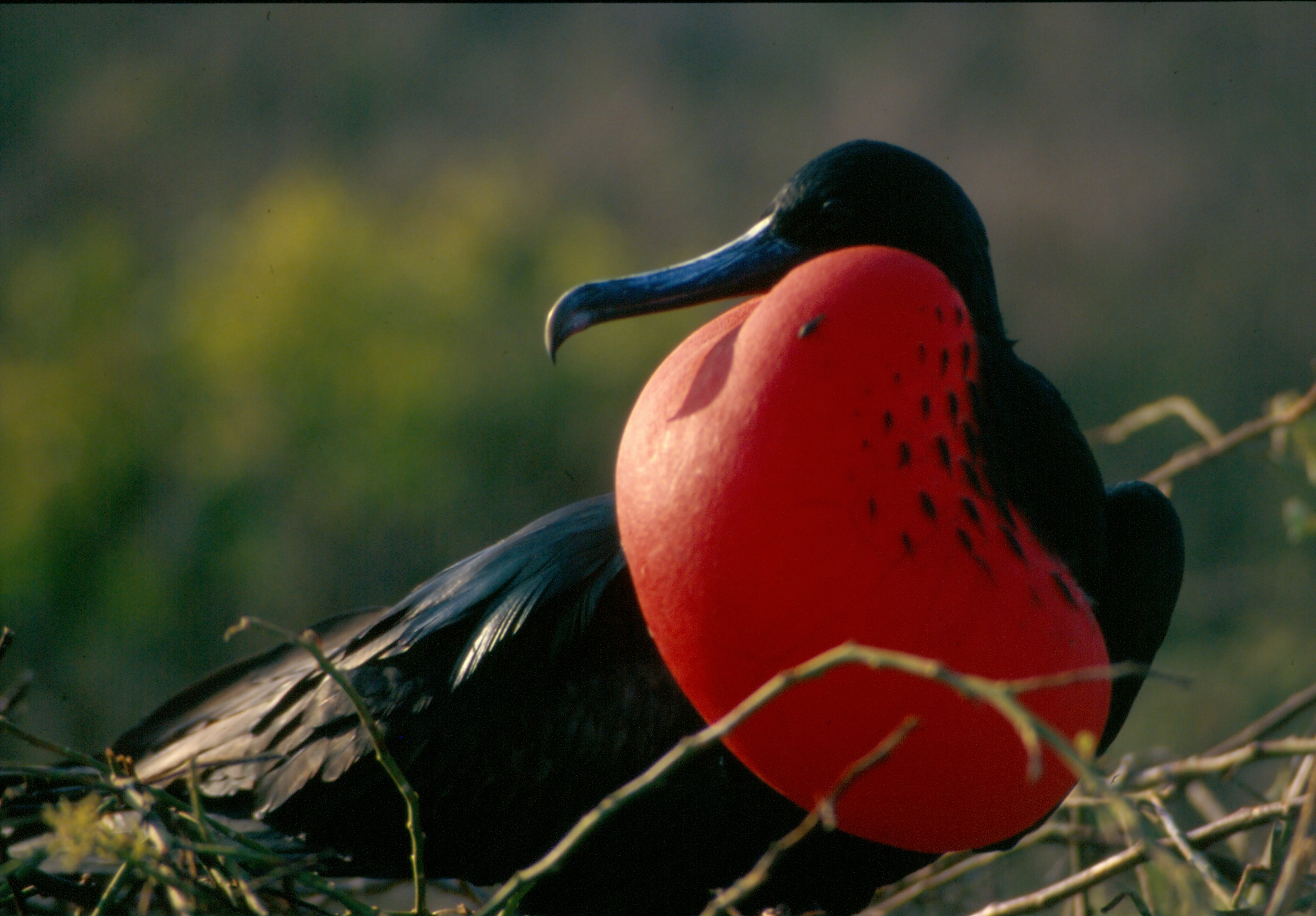 Svuda podji - travel stories